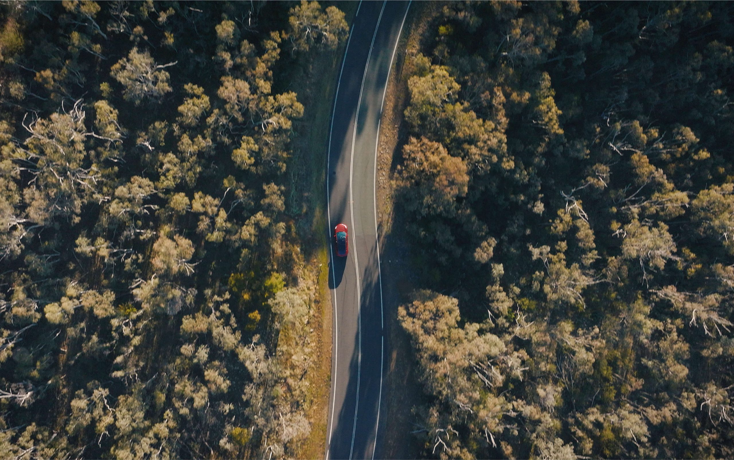 Cure Collective - Home